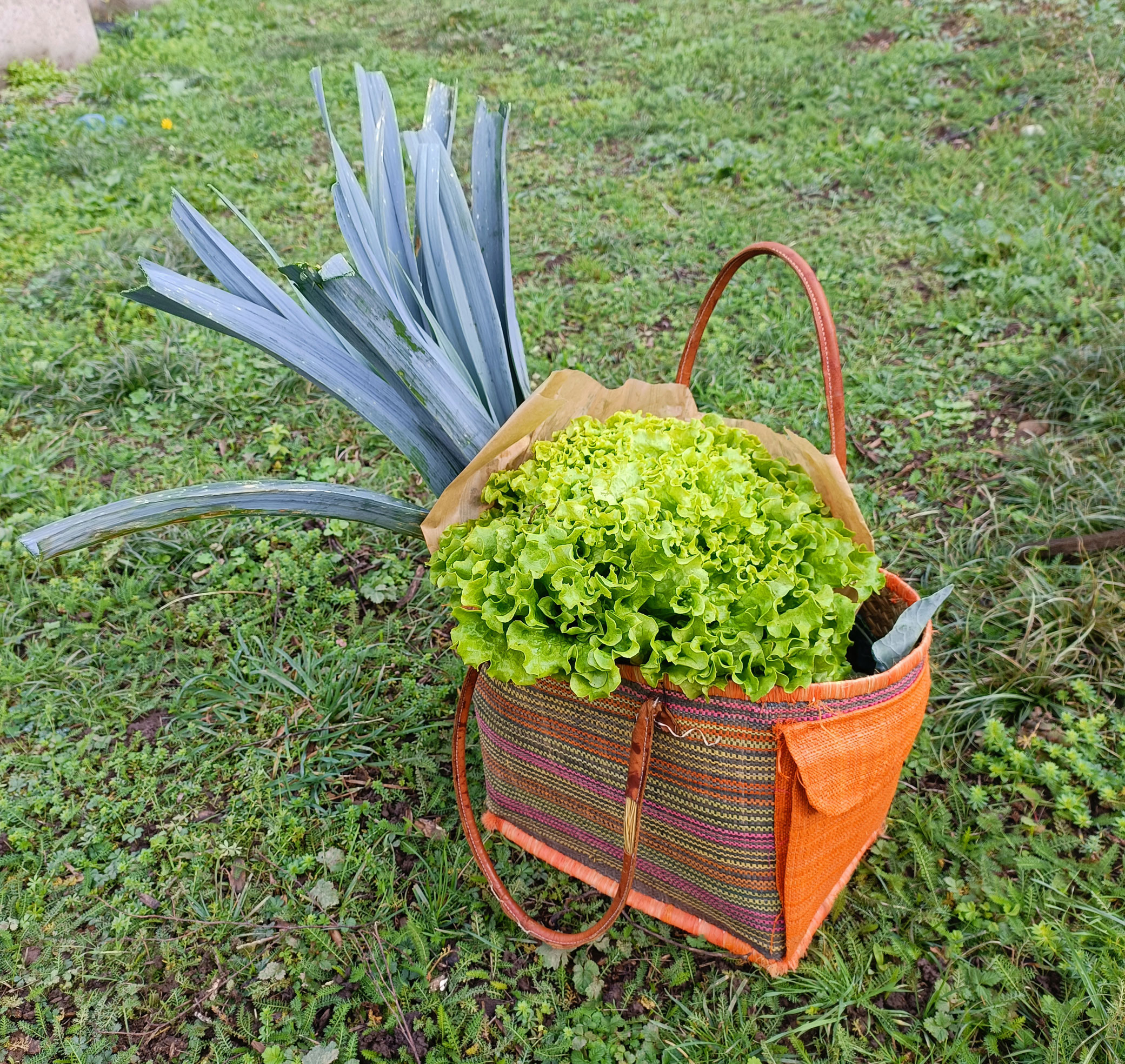 Lyon achetez-nos-légumes